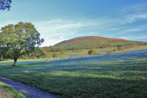 Binsey Walk, Lake District - Go Lake District | Free Walk Guides