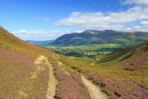 Barrow Braithwaite Walk Guide - Barrow Fell - Go Lake District
